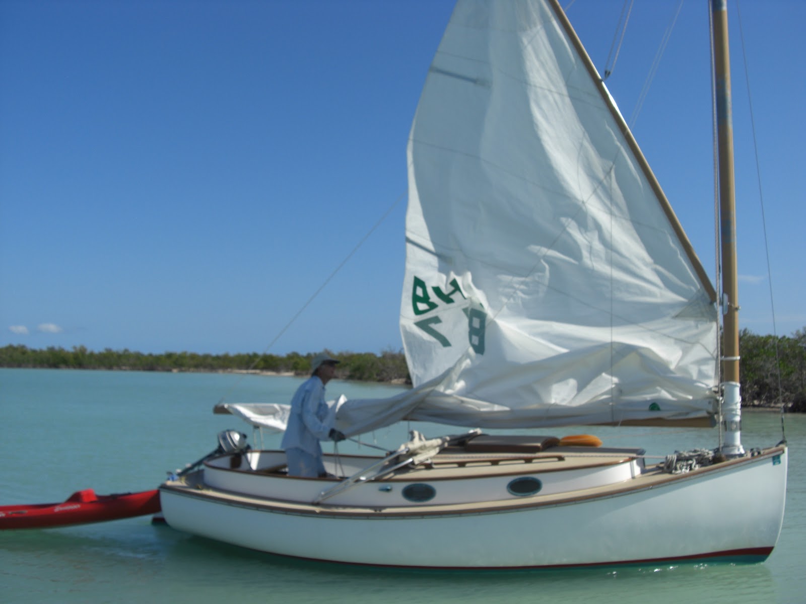 MY LIFE IN THE FLORIDA KEYS AND BEYOND: Nest Key