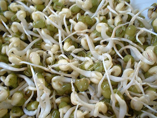 Las cositas de Meri: Germinado de soja paso a paso