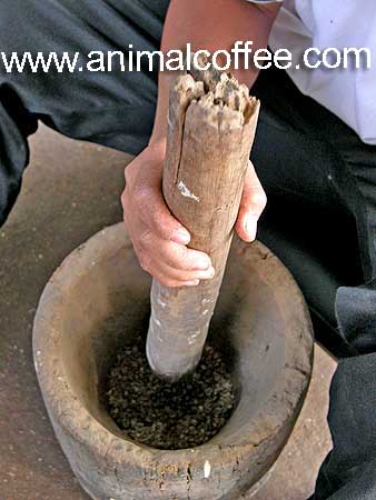 Kopi Luwak??...Kopi Taik Musang?? | Suhaib Ar-Rumi.......