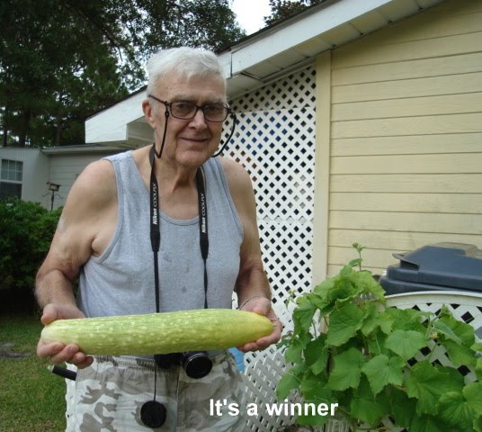 KERRIE'S KORNER NY: MONSTER CUCUMBER