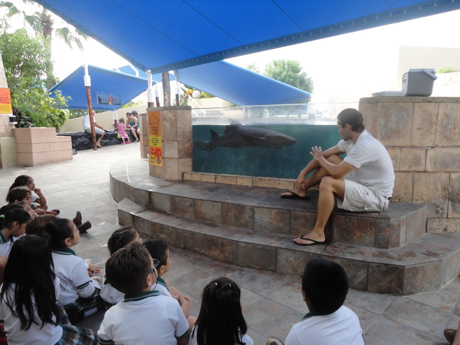JARDIN DE NIÑOS: visita al acuario