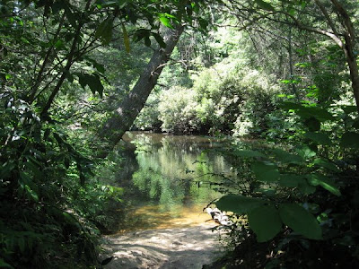 Natural History of Raleigh Photos: PFI tours the Brevard fault