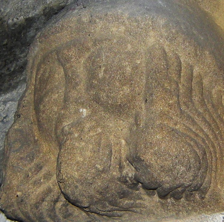 Mary in Monmouth: St Derfel, Patron Saint of Cwmbran and the Arthur ...