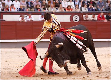 Del toro al infinito: TORO "BEATO" IV PREMIO ABOVENT LAS VENTAS 2009