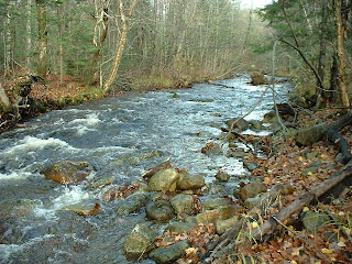Rio Tejo - Água é Patrimónimo: Curso Superior do Rio Tejo