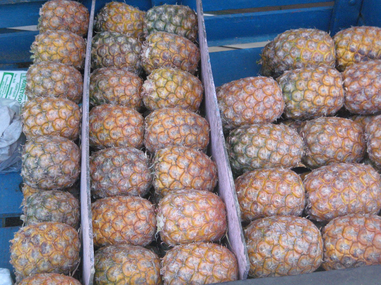 bucaio: Davao is Not Just Durian