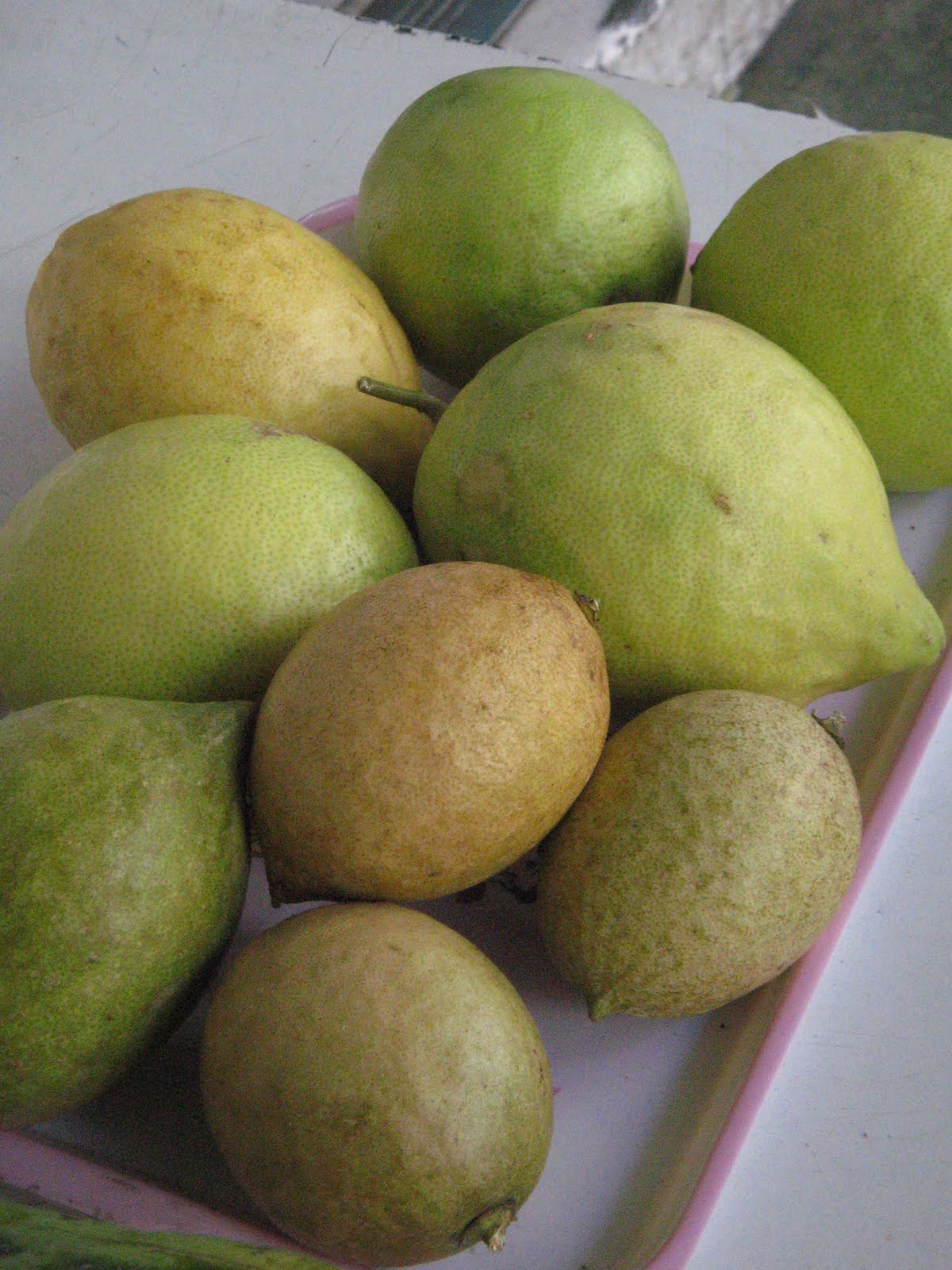 bucaio: Davao is Not Just Durian