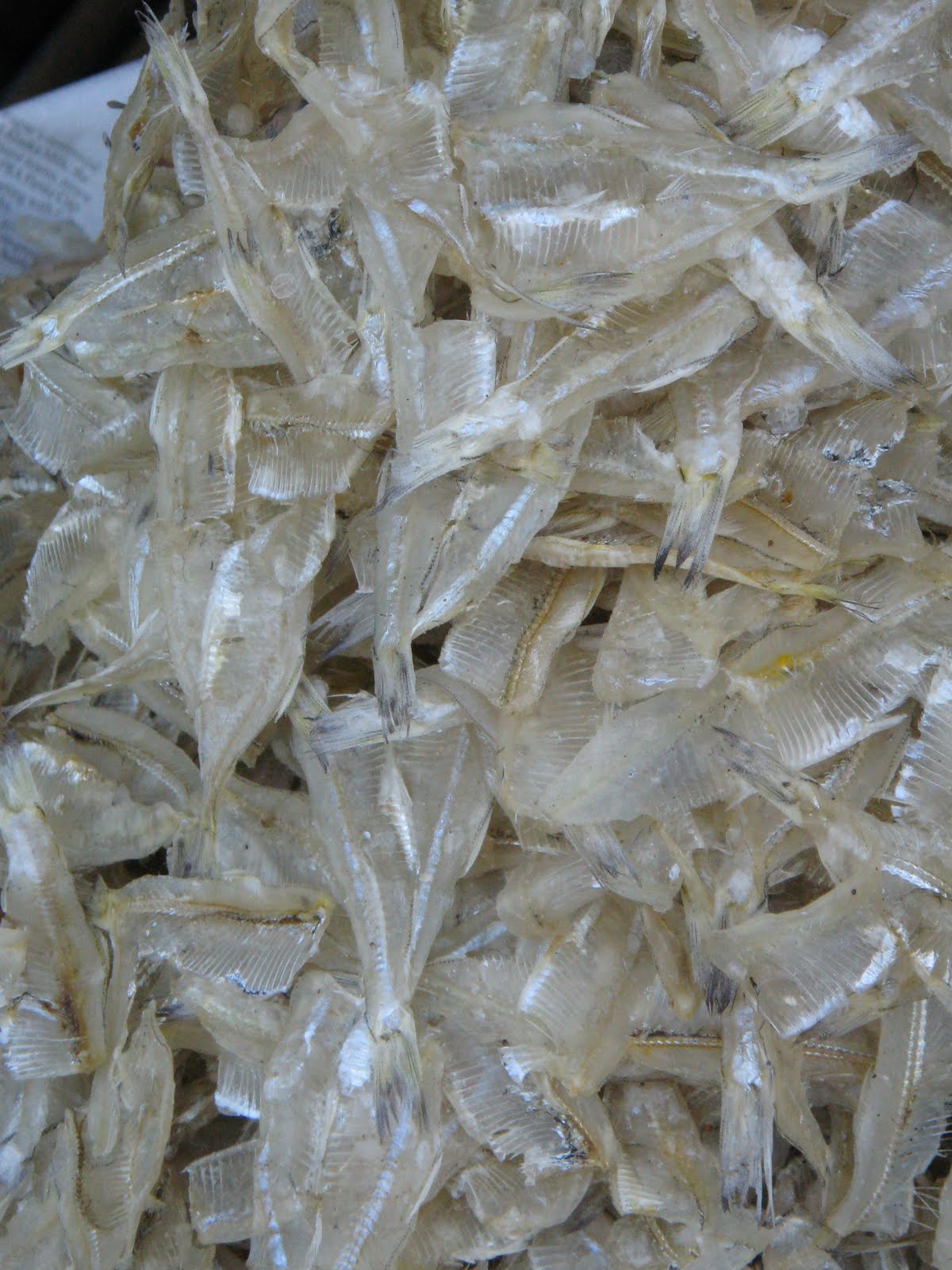 bucaio: Bade at the Naga Market