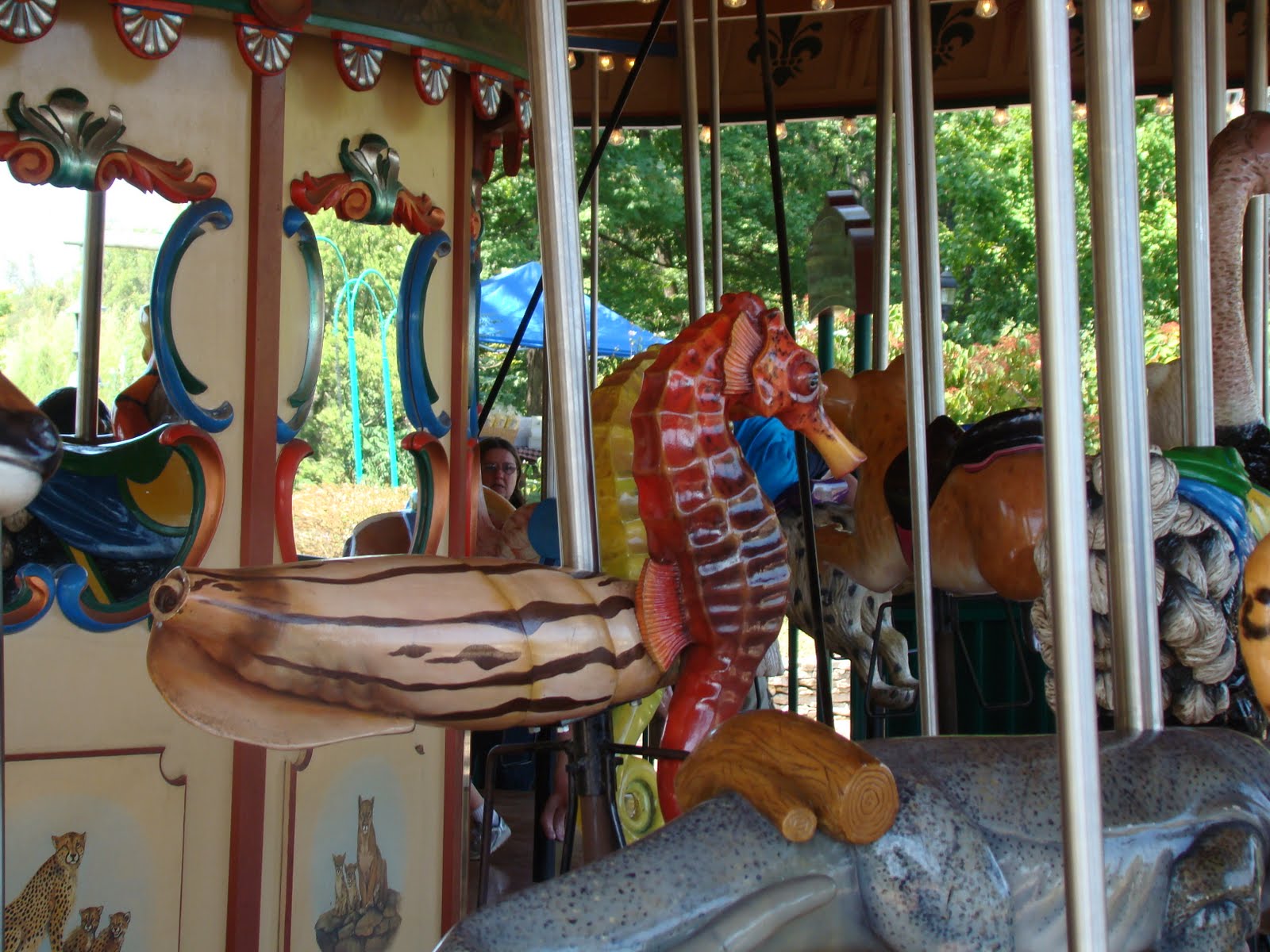 Our Little family: Carousel