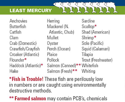 Fish And Mercury