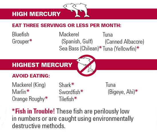 Fish And Mercury