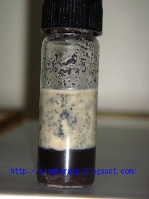 Thai Charms - Spiritual, Barang, Khmer, Siam Mao / Xia Mao, Esoteric ...