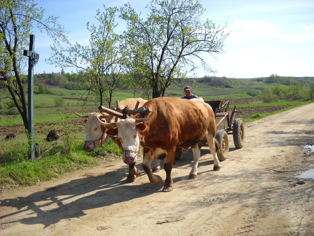 Claudiu MOGA -blog de aventuri cicloturistice: Superba tura in judetul ...