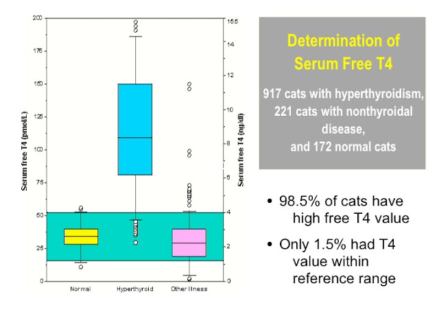 Animal Endocrine Clinic: What is T4? How is the T4 Test Used to ...