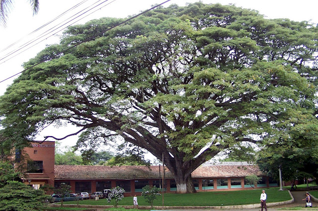 Santander De Quilichao Cauca
