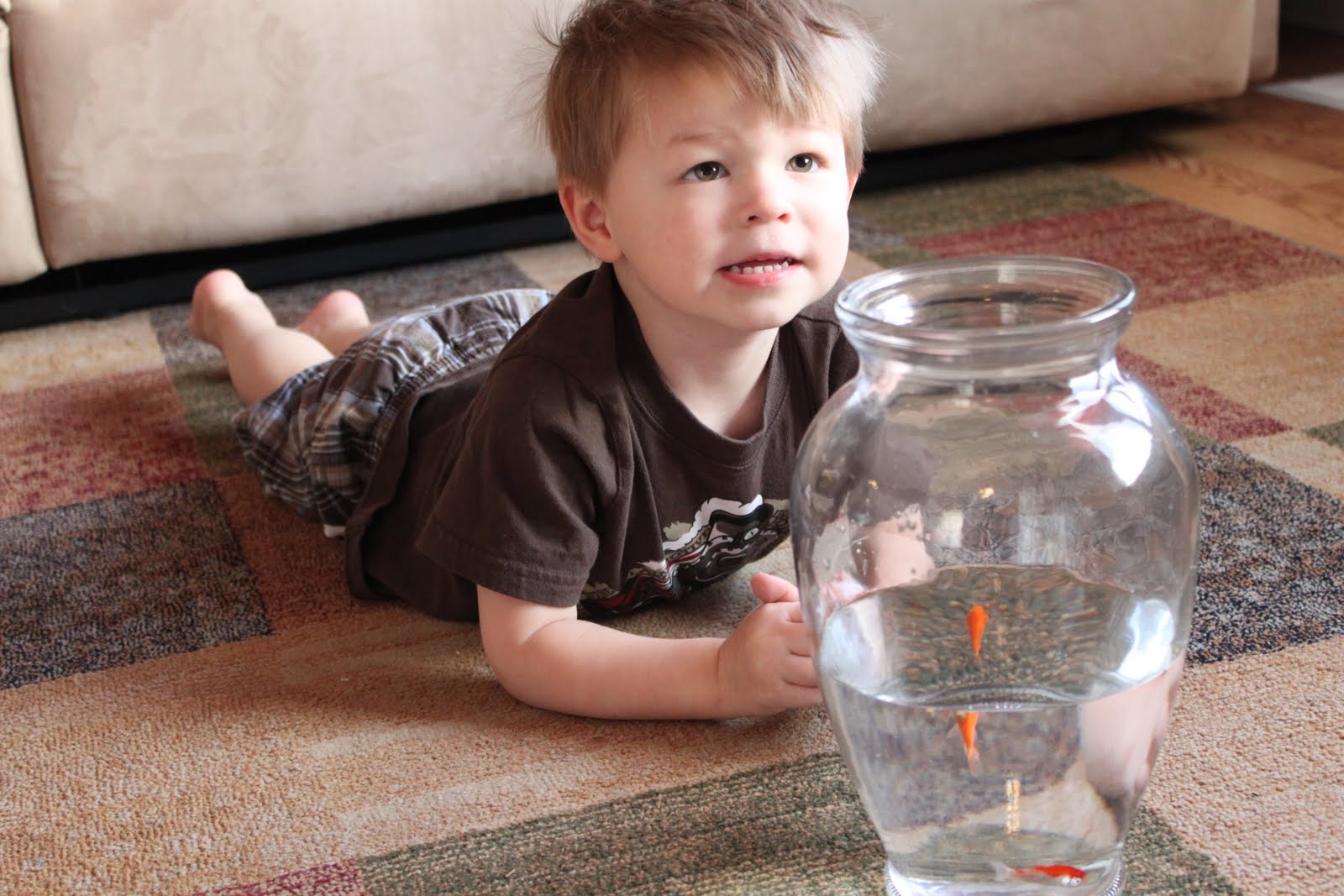 Just Me: Potty Training = Gold Fish
