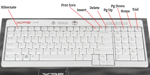 Reddnet Scribbles: Dell XPS M1730 - Review (part 3): Keyboard and Touchpad