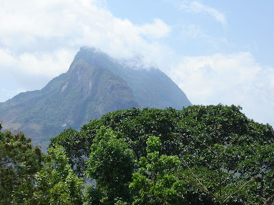 O Livro das Contradisoens: E viva Bobonaro!...