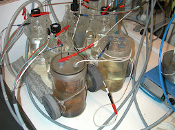 La pile à combustible microbienne