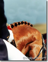 Behind the Bit: Button or dressage braids. How-tos and advice