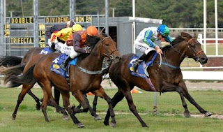 Behind the Bit: Coffin bone fractures: What to look for...