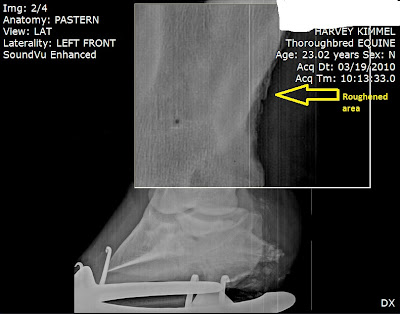 Behind the Bit: July 2010