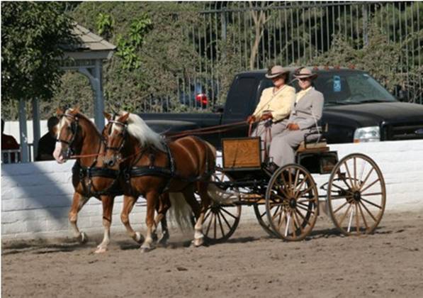 Cowboys and Chuckwagon Cooking : Molly Rush "Law Enforcement to ...