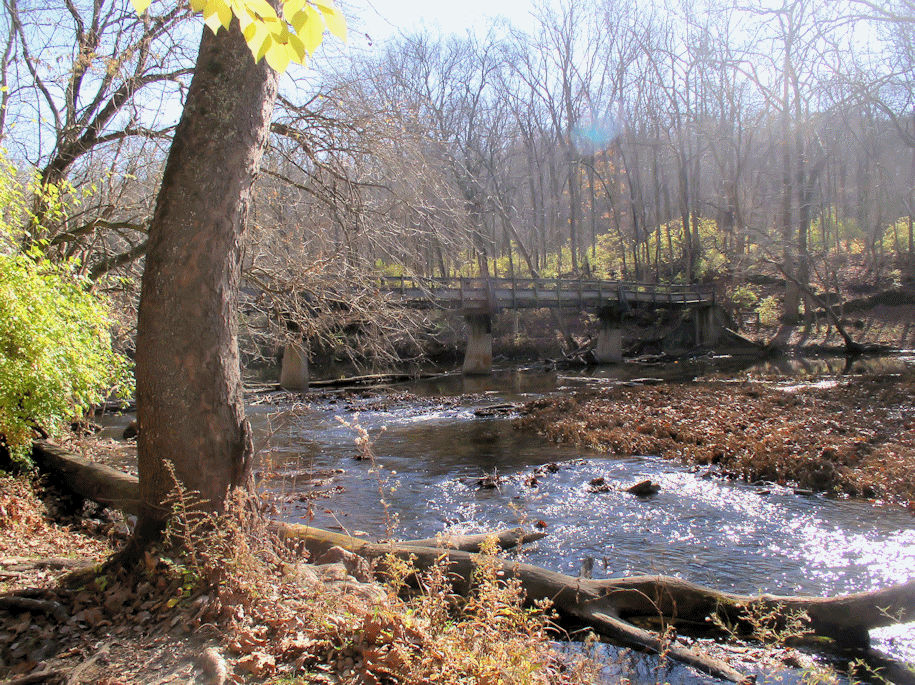 Ohio Meanderings: Late Autumn Visit to John Bryan State Park