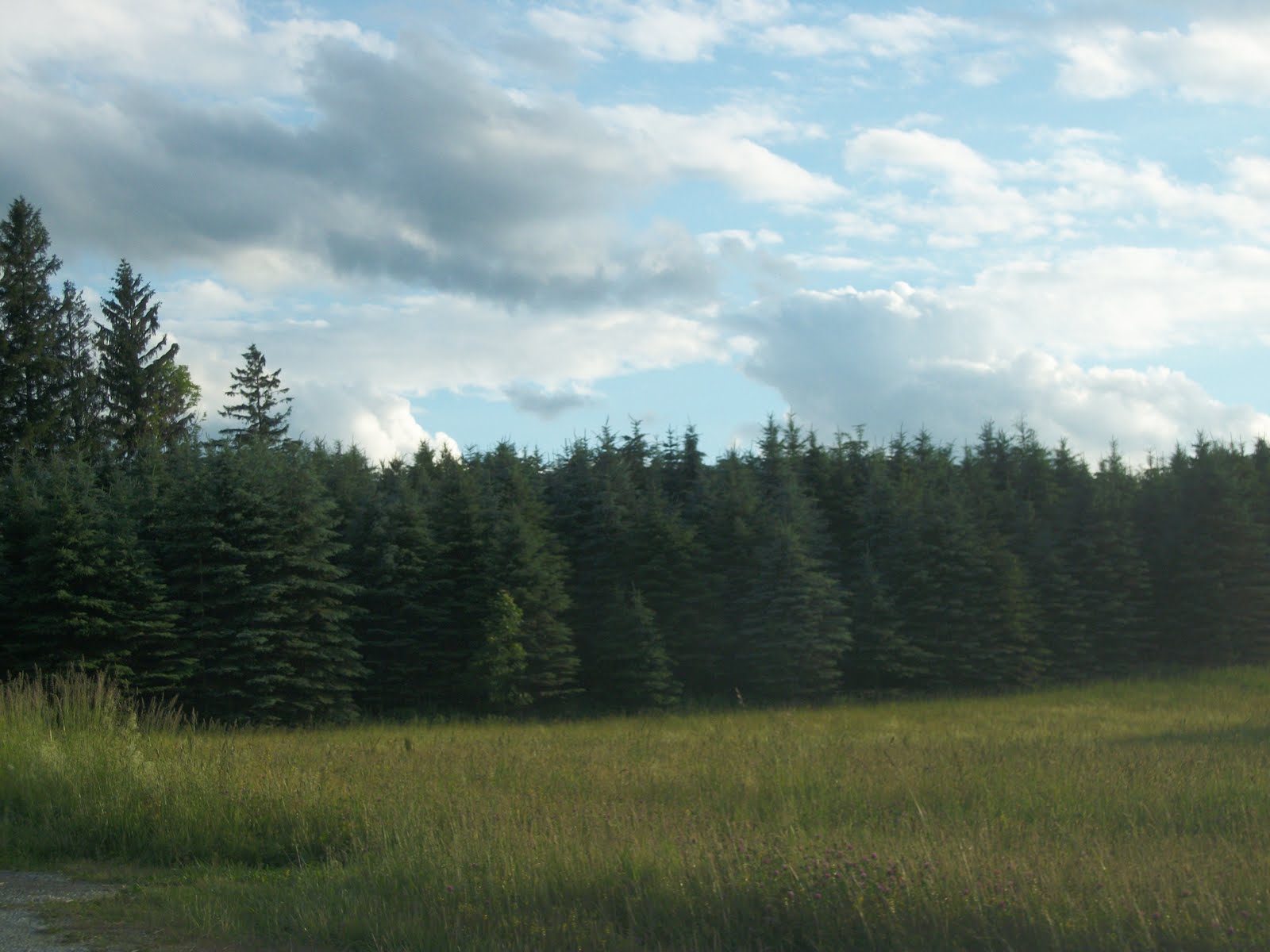 Writing Straight from the Heart: Scenic Shots of the New England ...