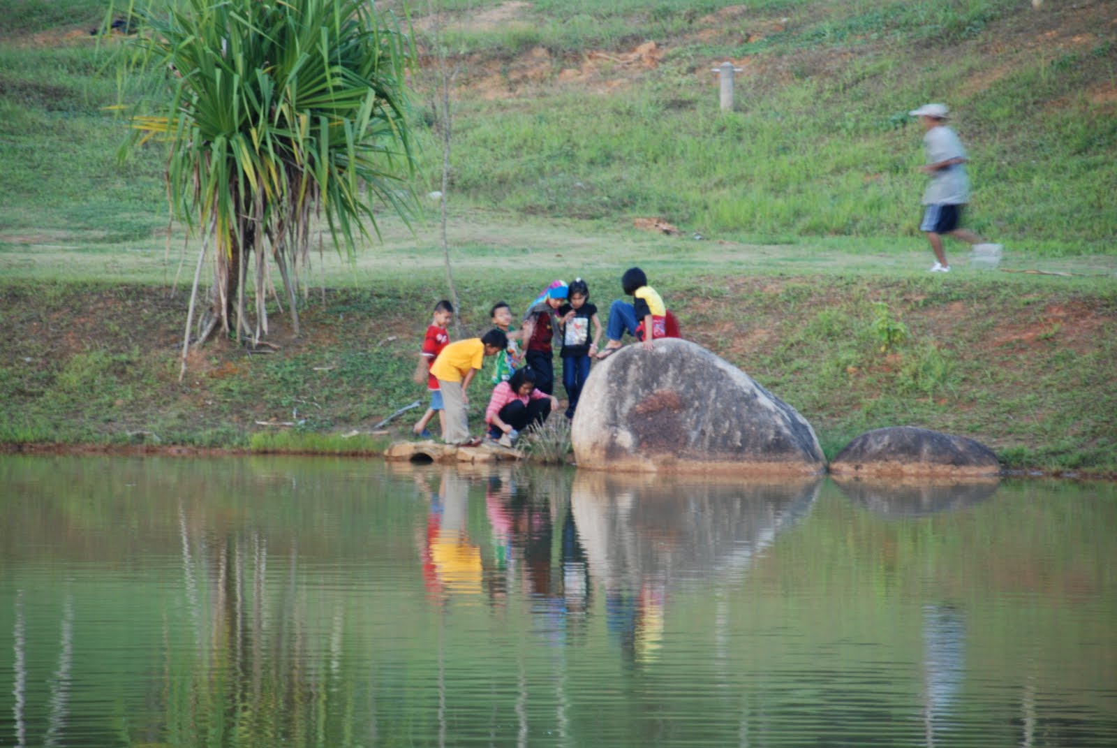 MuDeSelaLu: Ape Yang Menarik di HUTAN BANDAR KULAI....JOHOR