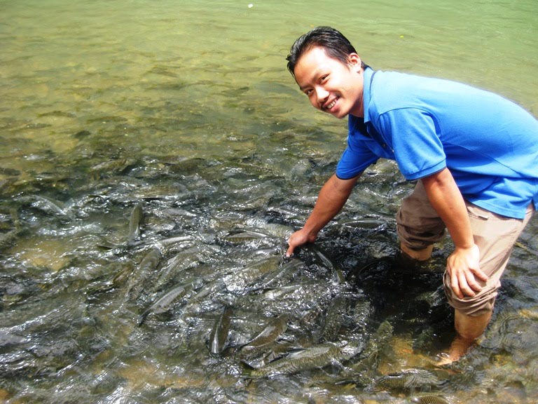 KINABALU: FISH THERAPY - MOROLI RIVER RANAU