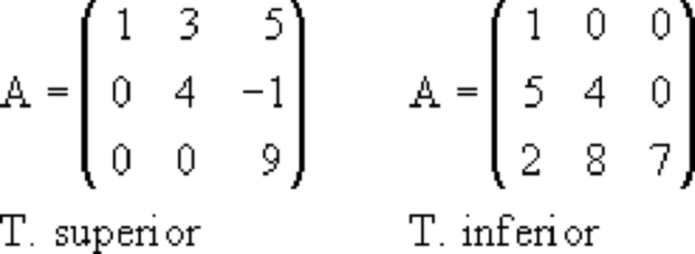 Algebra lineal: Tipos de matrices