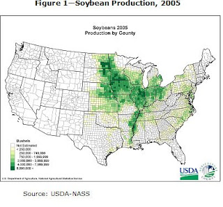 Cincinnati Locavore: Recognizing rural America: soybeans