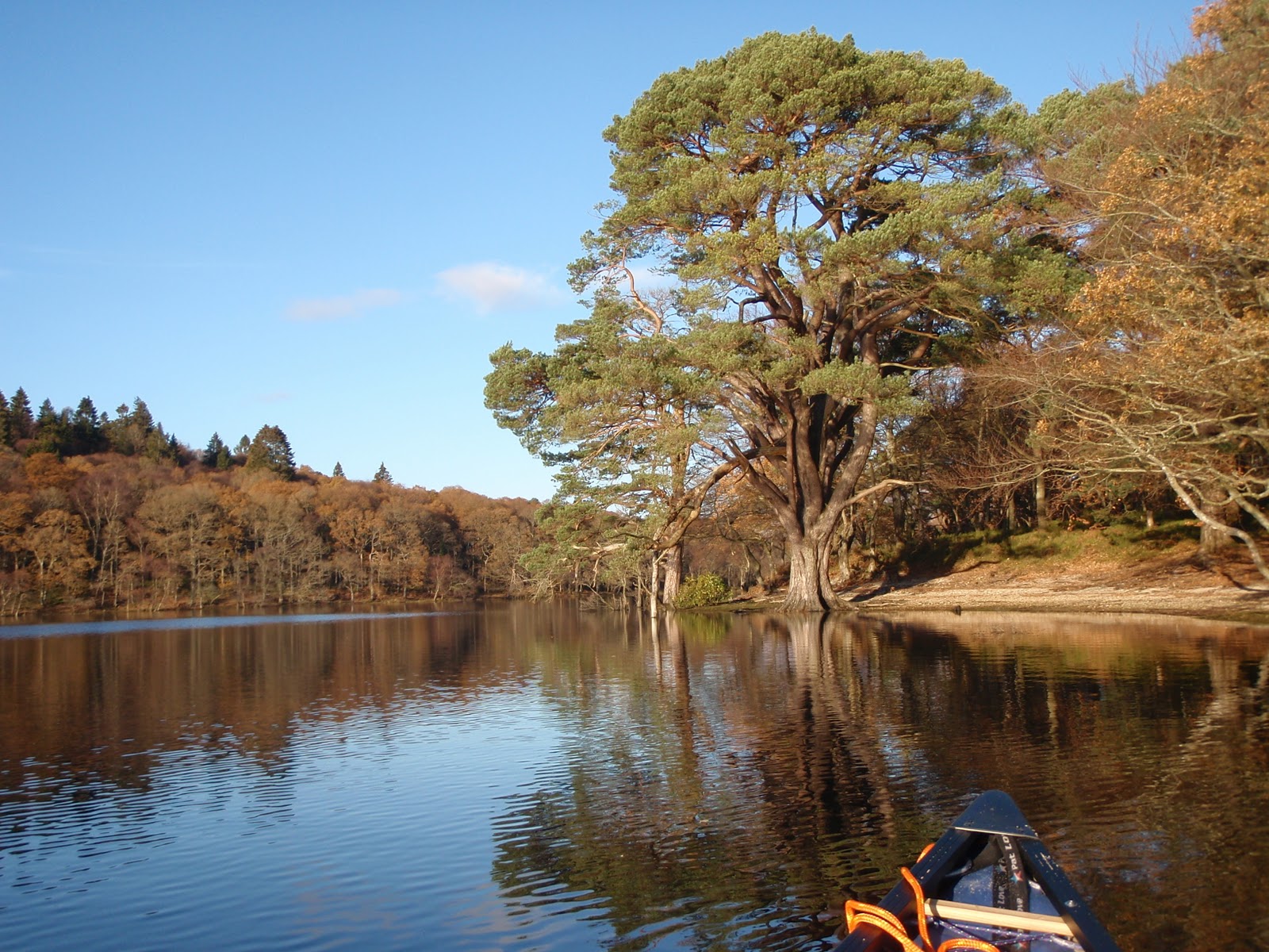 Jurassic's Blog.: Inchmoan.