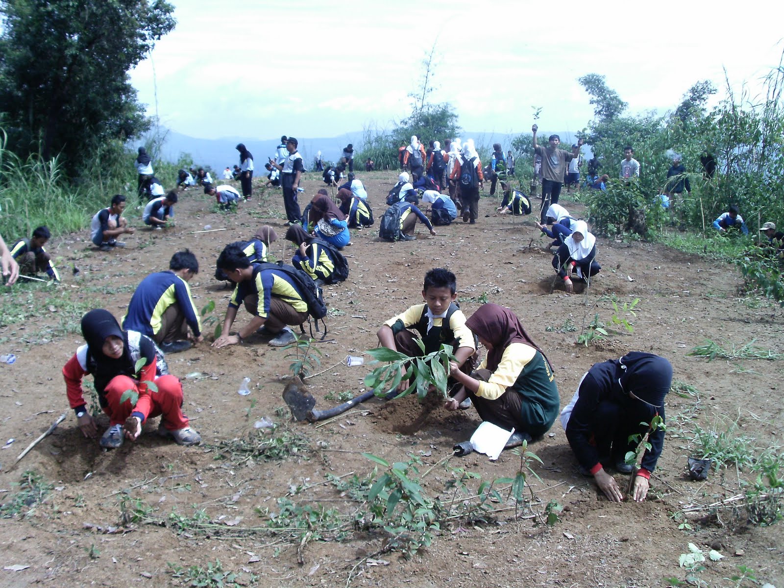 PASMAPRAN: REBOISASI