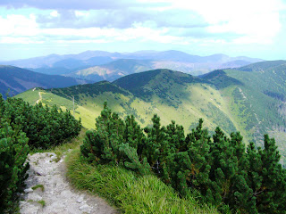 Cestou necestou ...: NAPANT