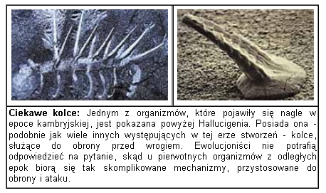 Skamieniałości przeciwko ewolucji ~ Baruch ata Adonai