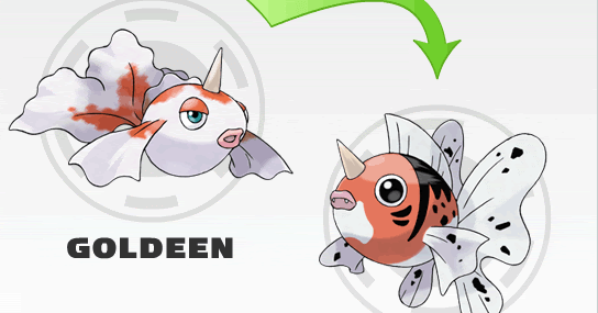 Pokemon Evolução: Evolução Goldeen