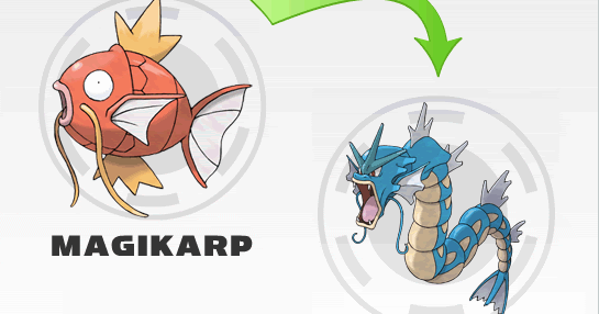 Pokemon Evolução: Evolução Magikarp