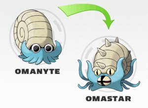 Pokemon Evolução: Evolução Omanyte