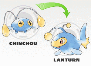 Pokemon Evolução: Evolução Chinchou
