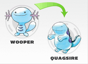 Pokemon Evolução: Evolução Wooper