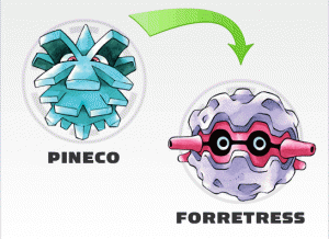Pokemon Evolução: Evolução Pineco