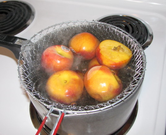 Tightwad Mom's Frugal Forum: Handy Tip For Blanching Fruit and Veggies
