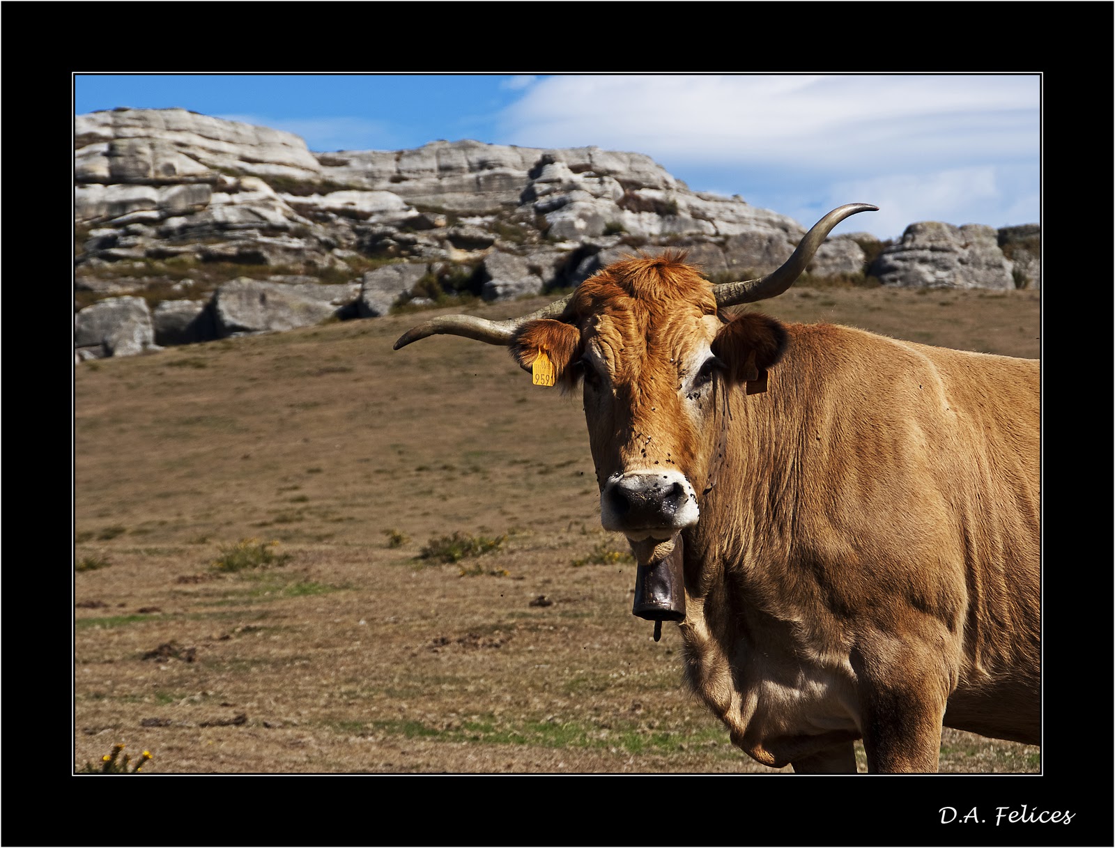 La Cernolica y El Corral de Santa Gadea.