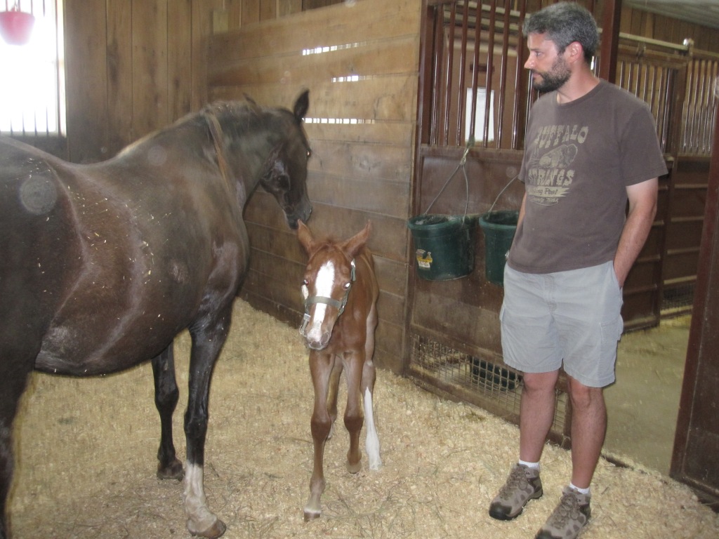 Ruthlynn's World: Our First Baby Filly is Born