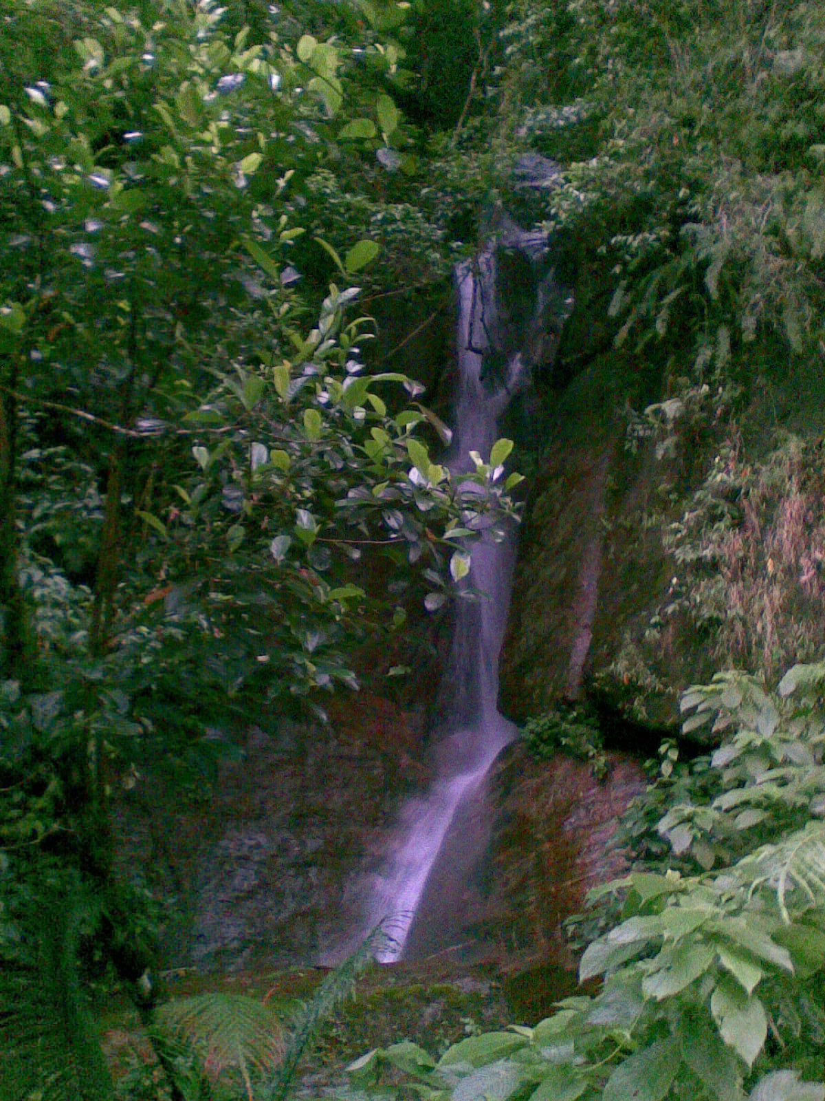 My World: AVARE SIRI PADE (Adam's Peak Sri Lanka)