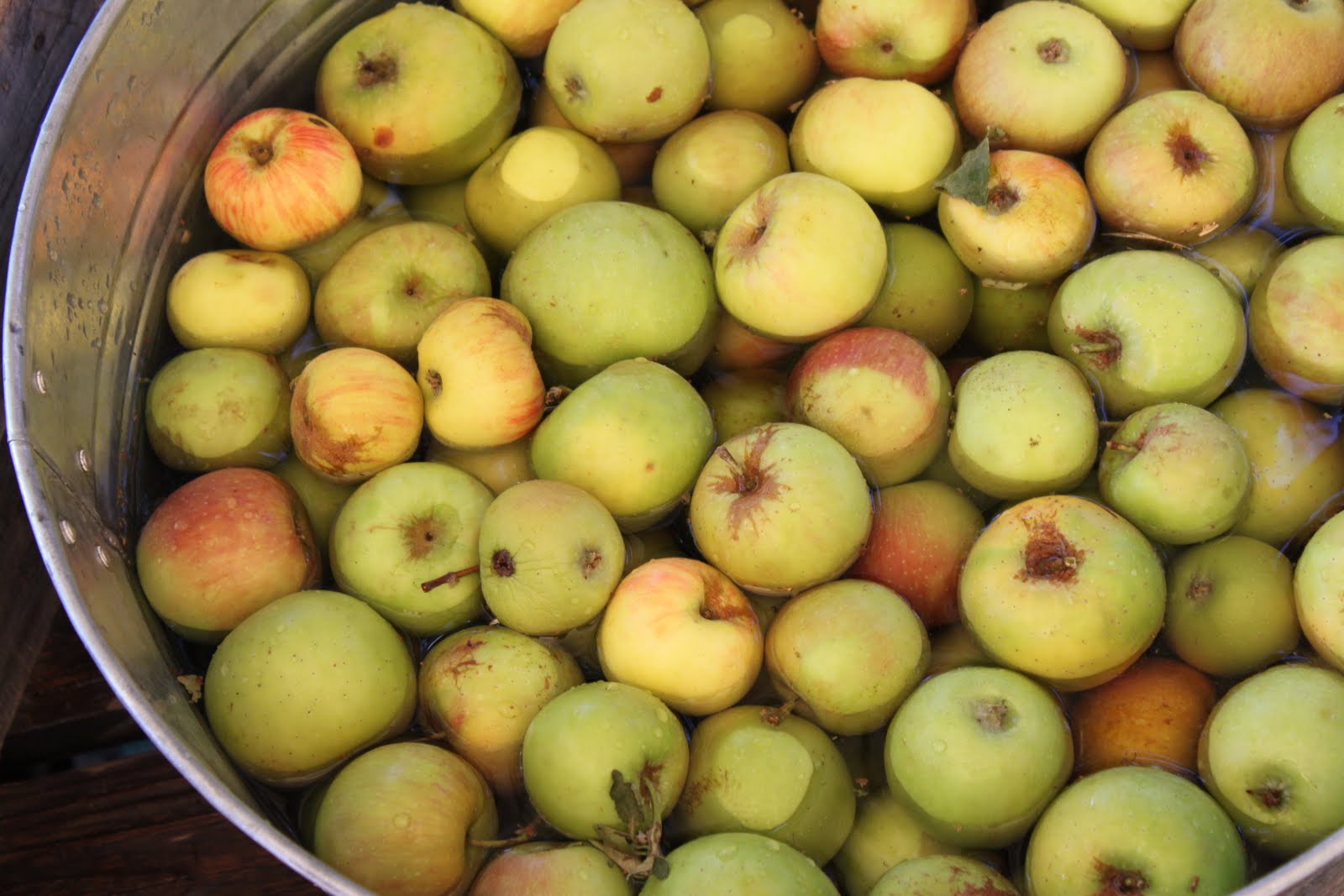 A Girl, a Market, a Meal...: An Apple Day