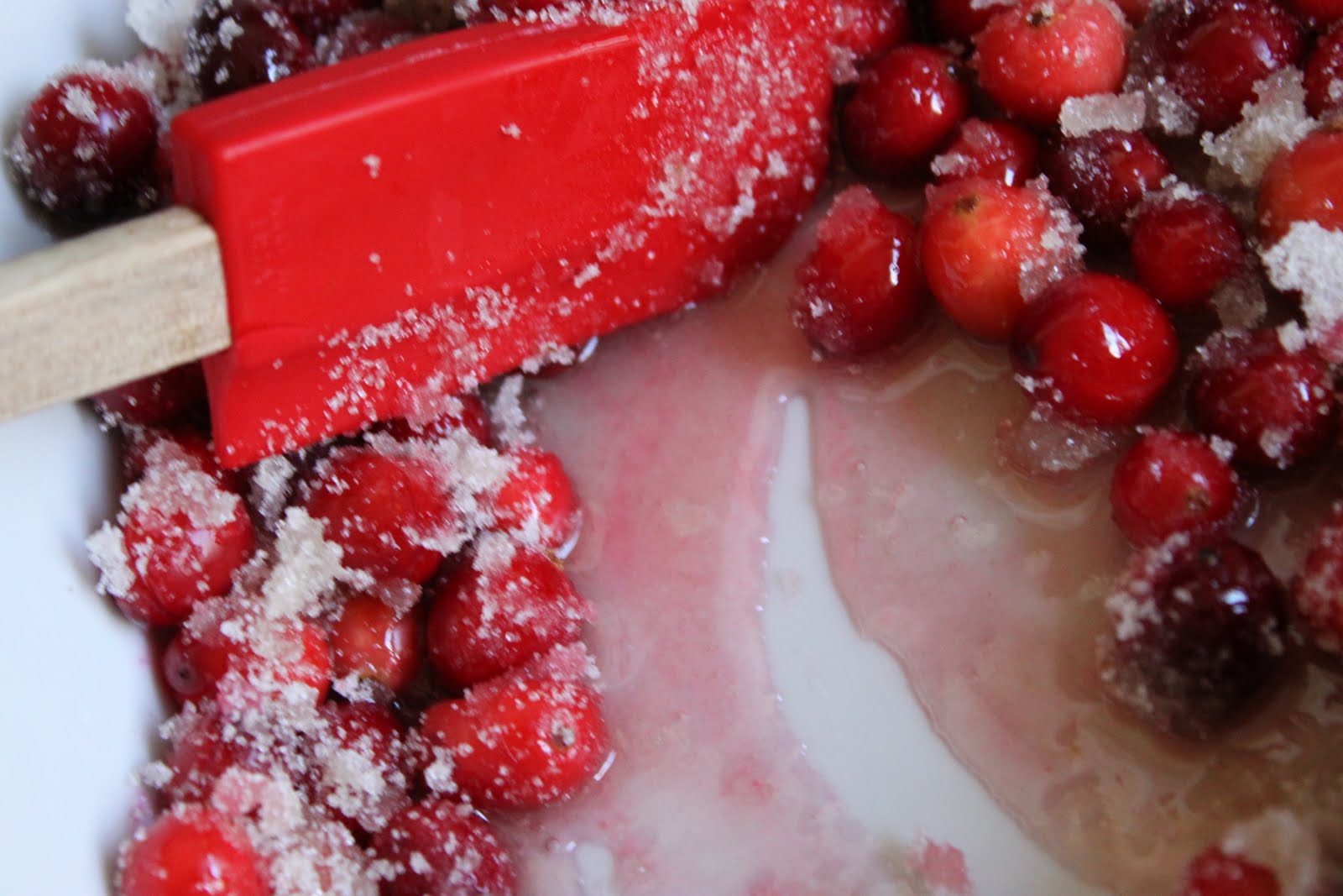 A Girl, a Market, a Meal...: Cranberries in the Snow