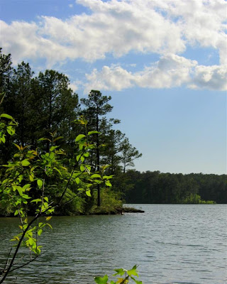 Traveling Square Dancers: Bay Springs C.O.E. Park